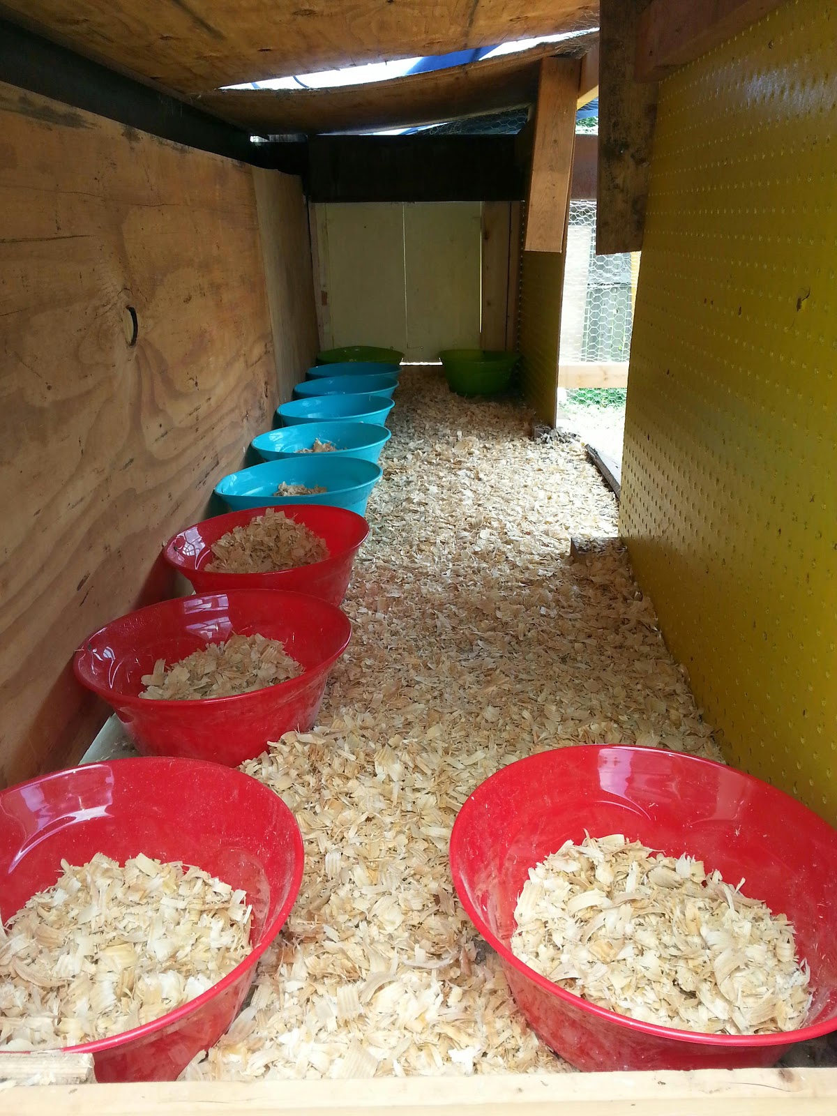 11 Unique Chicken Nesting Boxes - BackyardChickensHQ